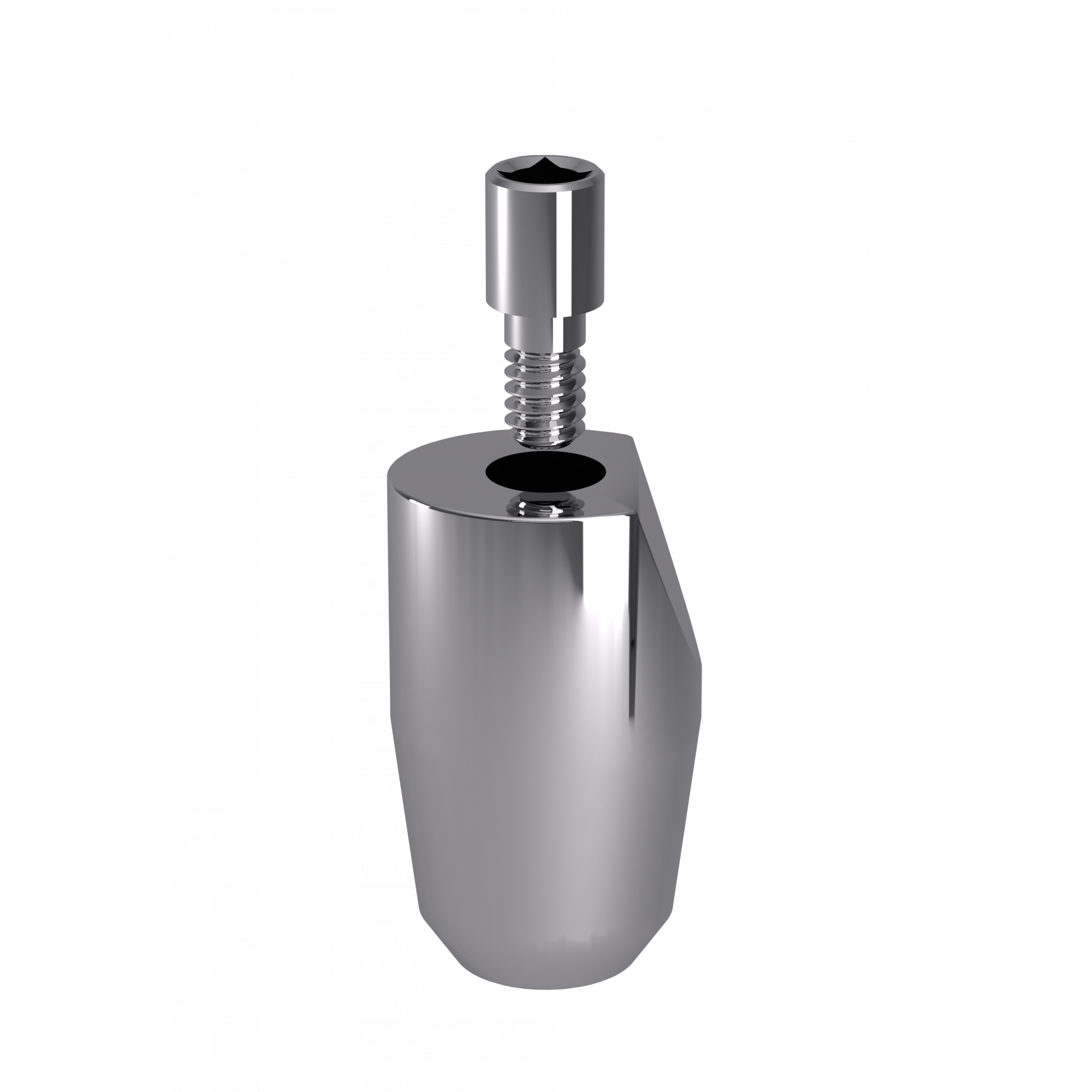 Implantiem Shop - OT Equator Scan Abutment with Screw